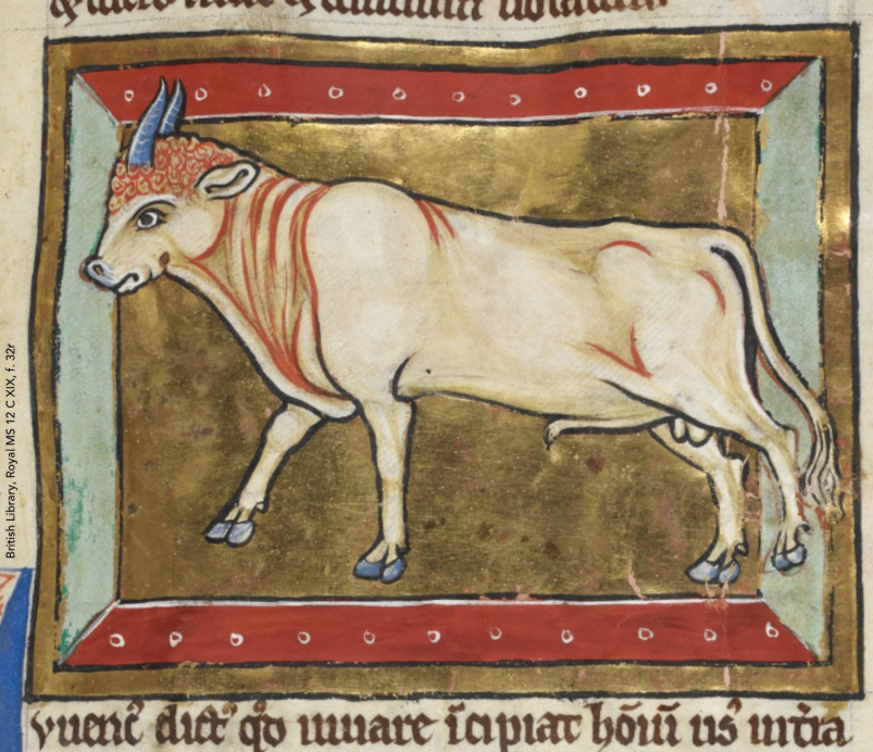 On the bull semen explosion, animal husbandry, and how medieval people ...