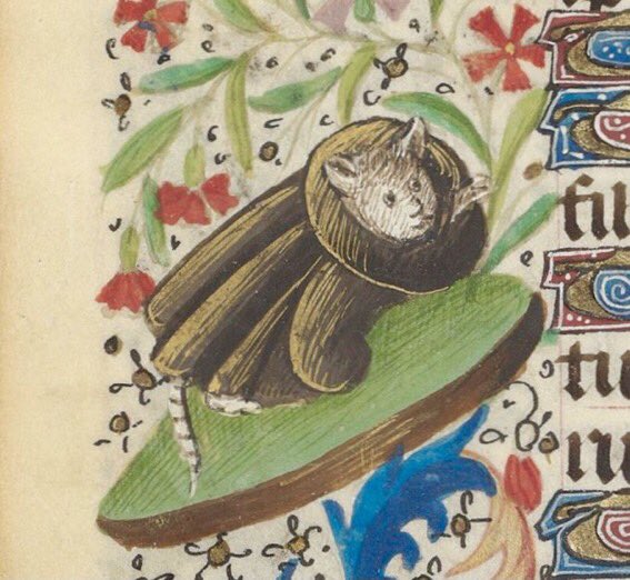 On cats – Going Medieval